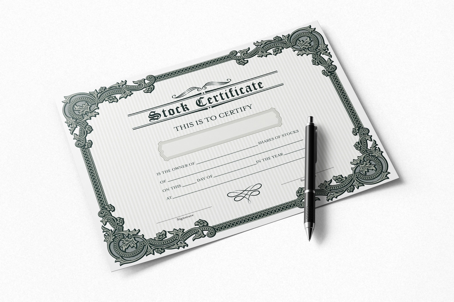 PRINTABLE Blank Stock Certificate Template DIY Certificate of - Etsy