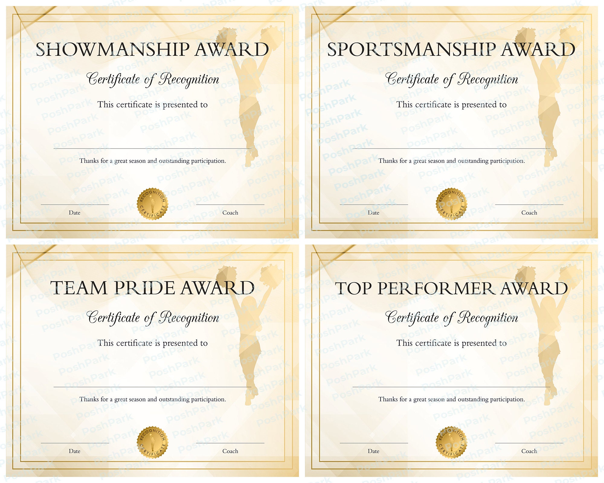 PRINTABLE PDF End of Season Cheerleading Award Certificates, 25 Plus ...