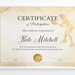 Editable Tennis Certificates for Girls, Minimalist Printable Tennis ...