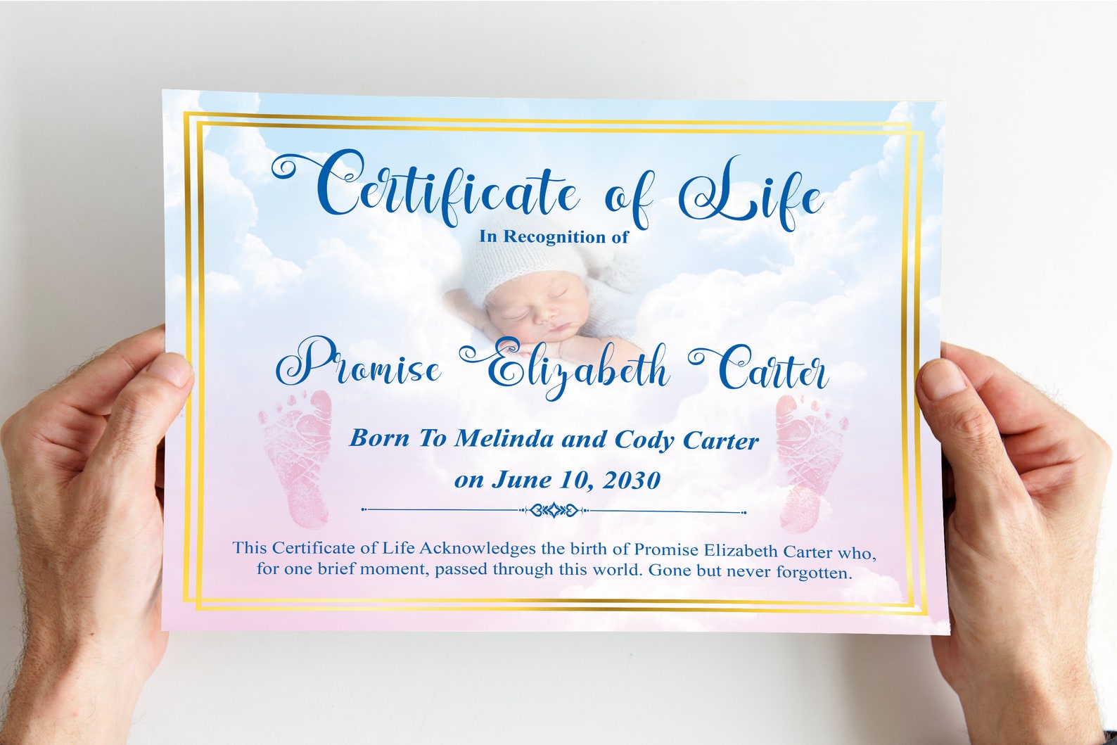 Editable Certificate of Life GIRL, Baby Loss Printable - Etsy