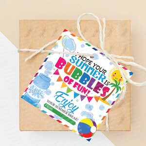 Printable PDF Bubbles of Fun Summer Tag, End of School Year Tags - Etsy