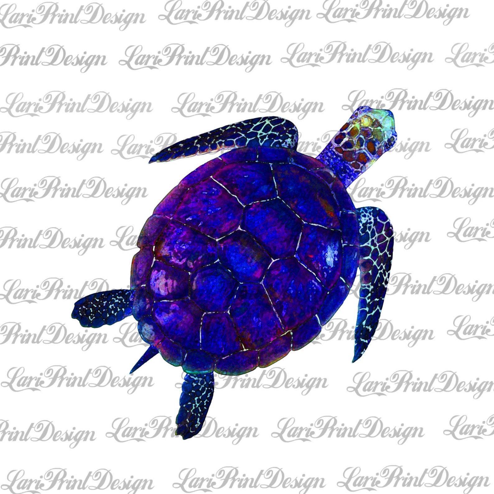 Blue Sea Turtle Watercolor Clipart Sublimation Graphics - Etsy