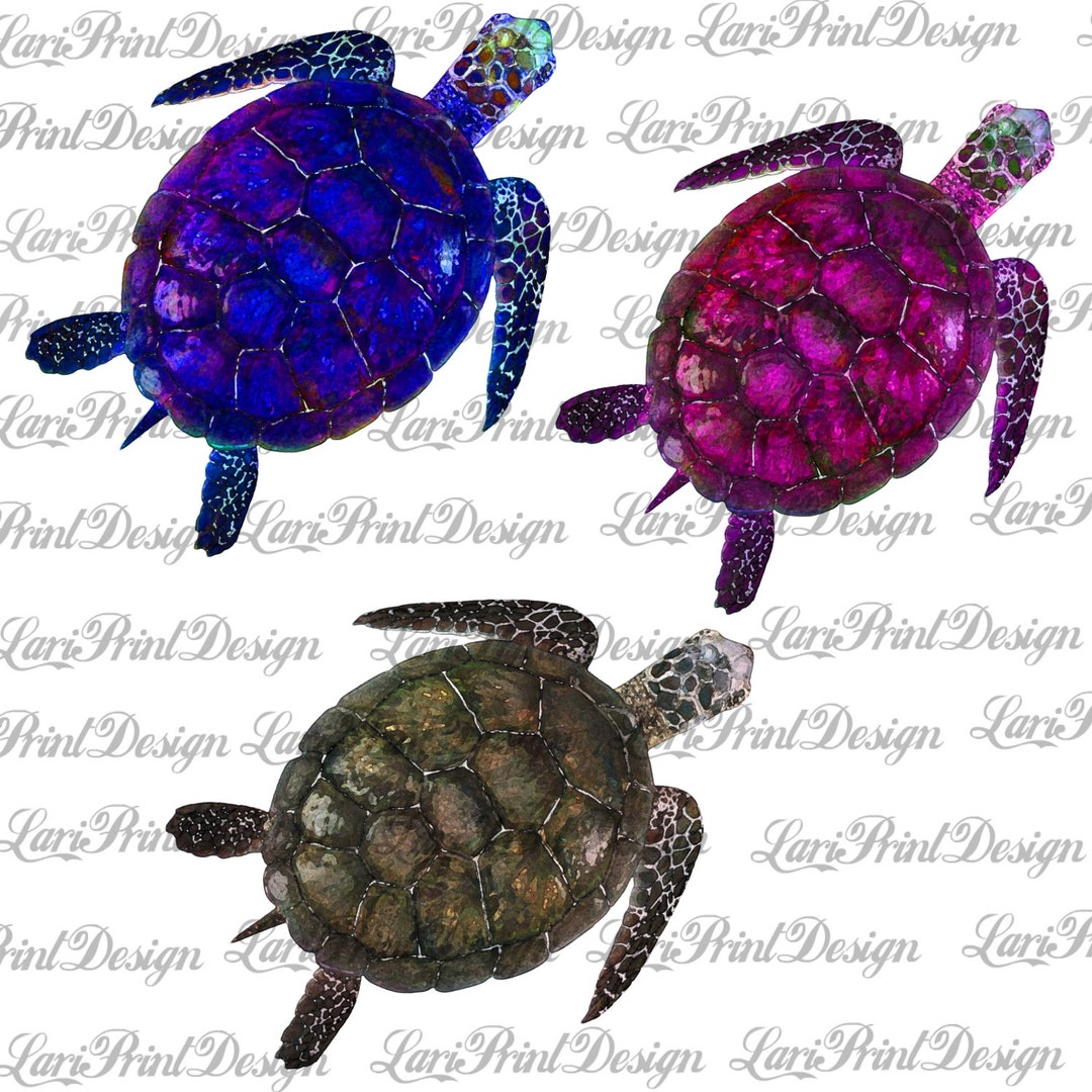 Sea Turtle Bundle Clipart, Sublimation Graphics, Instant Download, PNG ...