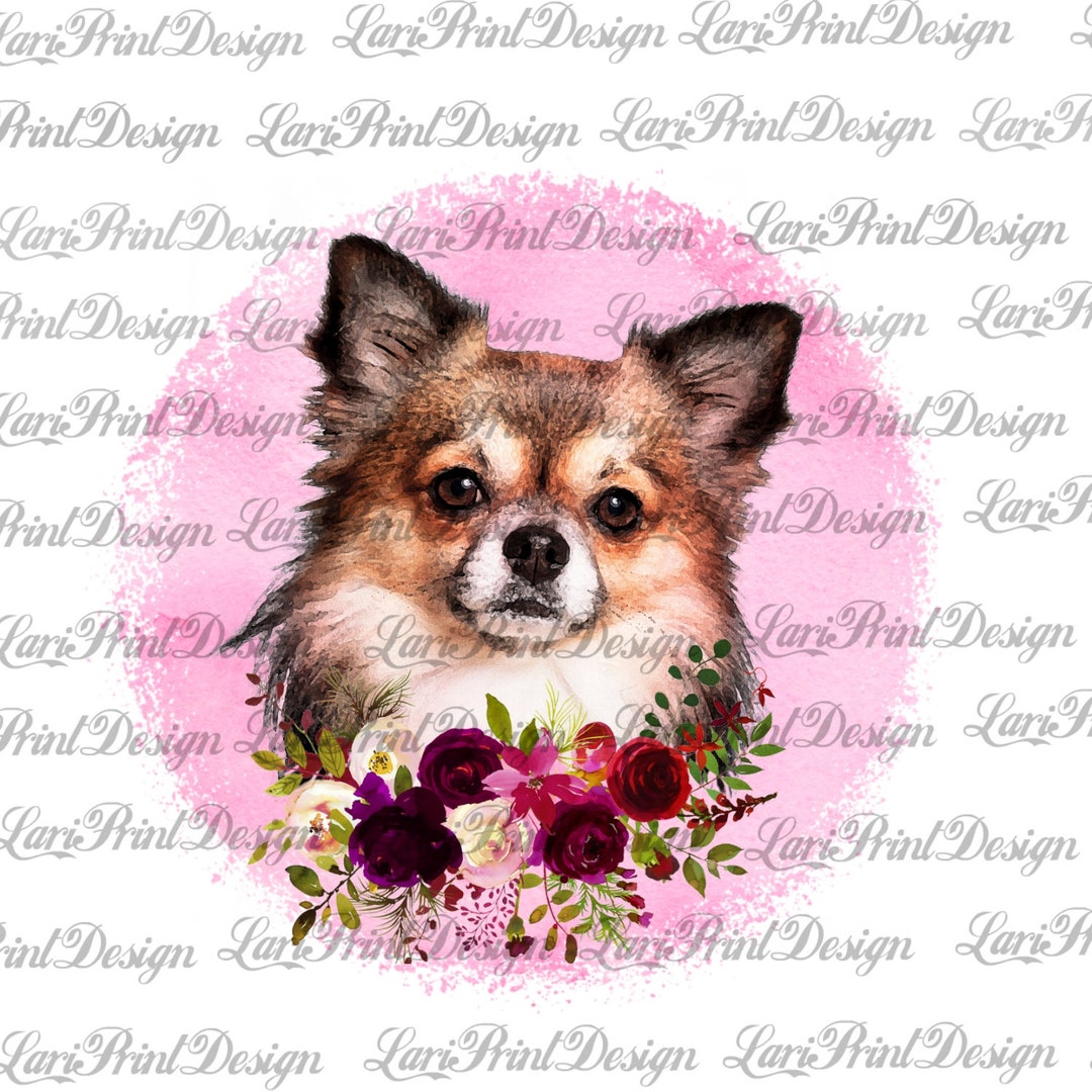Chihuahua Dog Watercolor Clip Art, Sublimation Graphics,instant ...