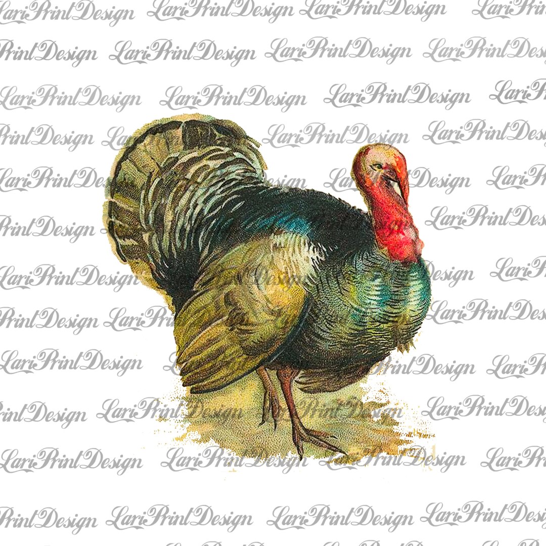 Vintage Turkey Sublimation Design, Instant Download, Sublimation ...