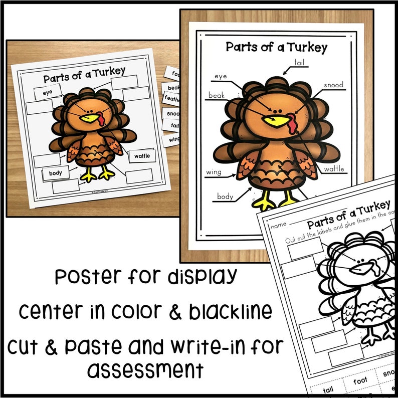 Parts of a Turkey Labeling Activity - Etsy