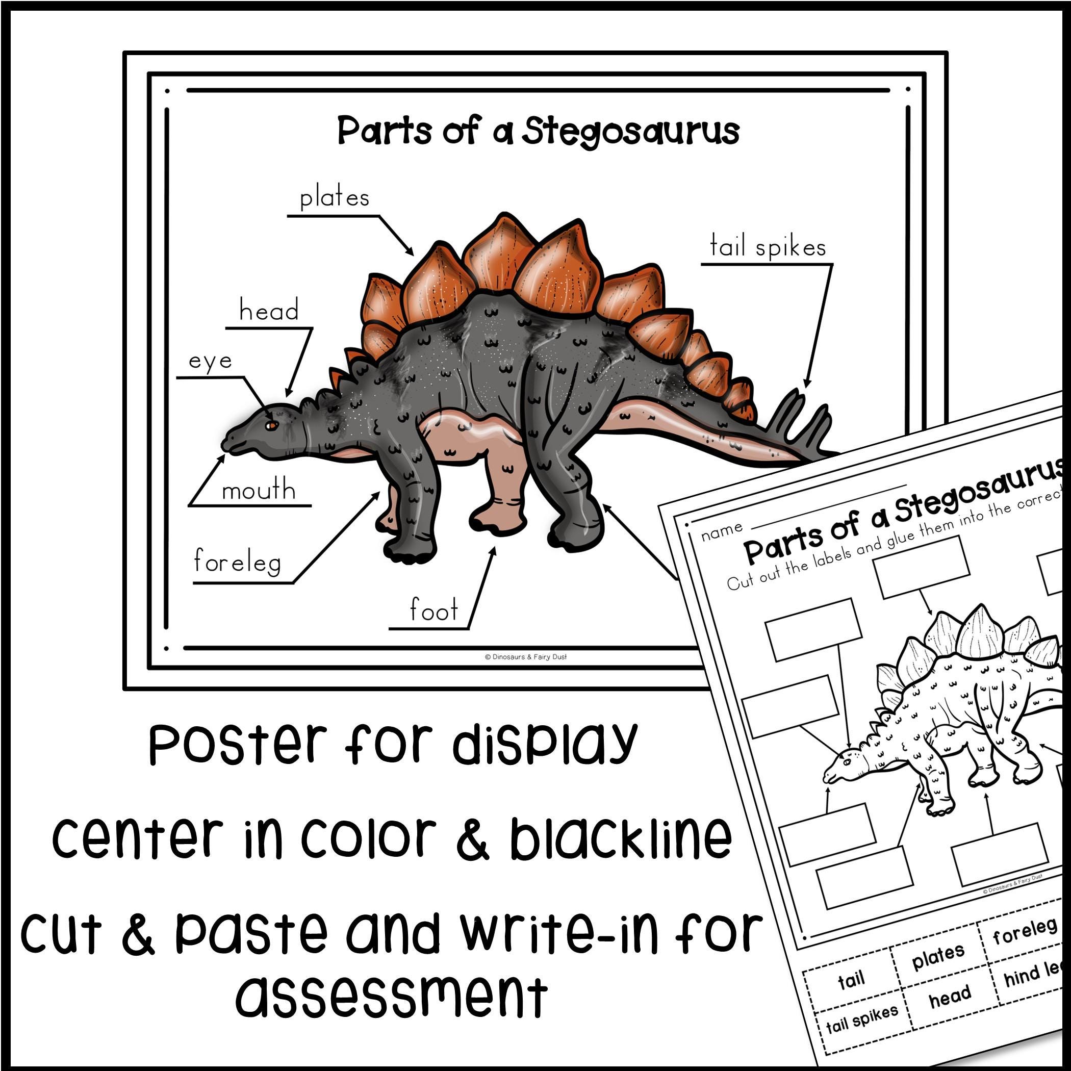 Parts of a Stegosaurus Labeling Activity - Etsy
