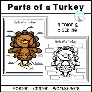 Parts of a Turkey Labeling Activity - Etsy