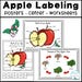 Parts of an Apple Labeling Center and Activity - Etsy