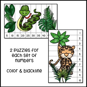 Rainforest Skip Counting Picture Puzzles - Etsy