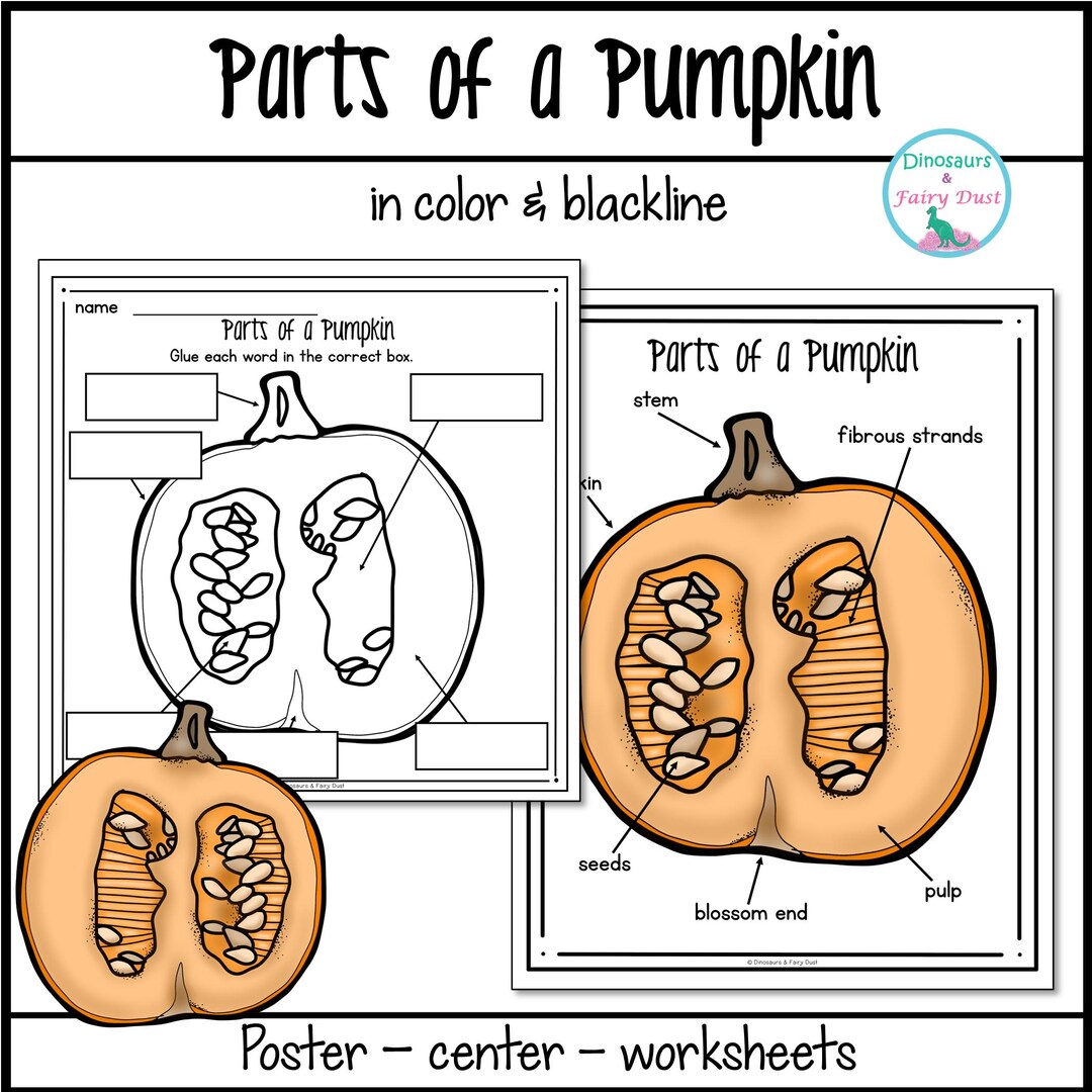 Actividad de etiquetado de las partes de una calabaza - Etsy México