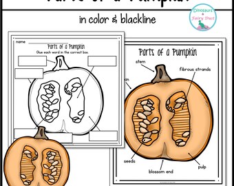 Parts of a Haunted House Labeling Activity - Etsy
