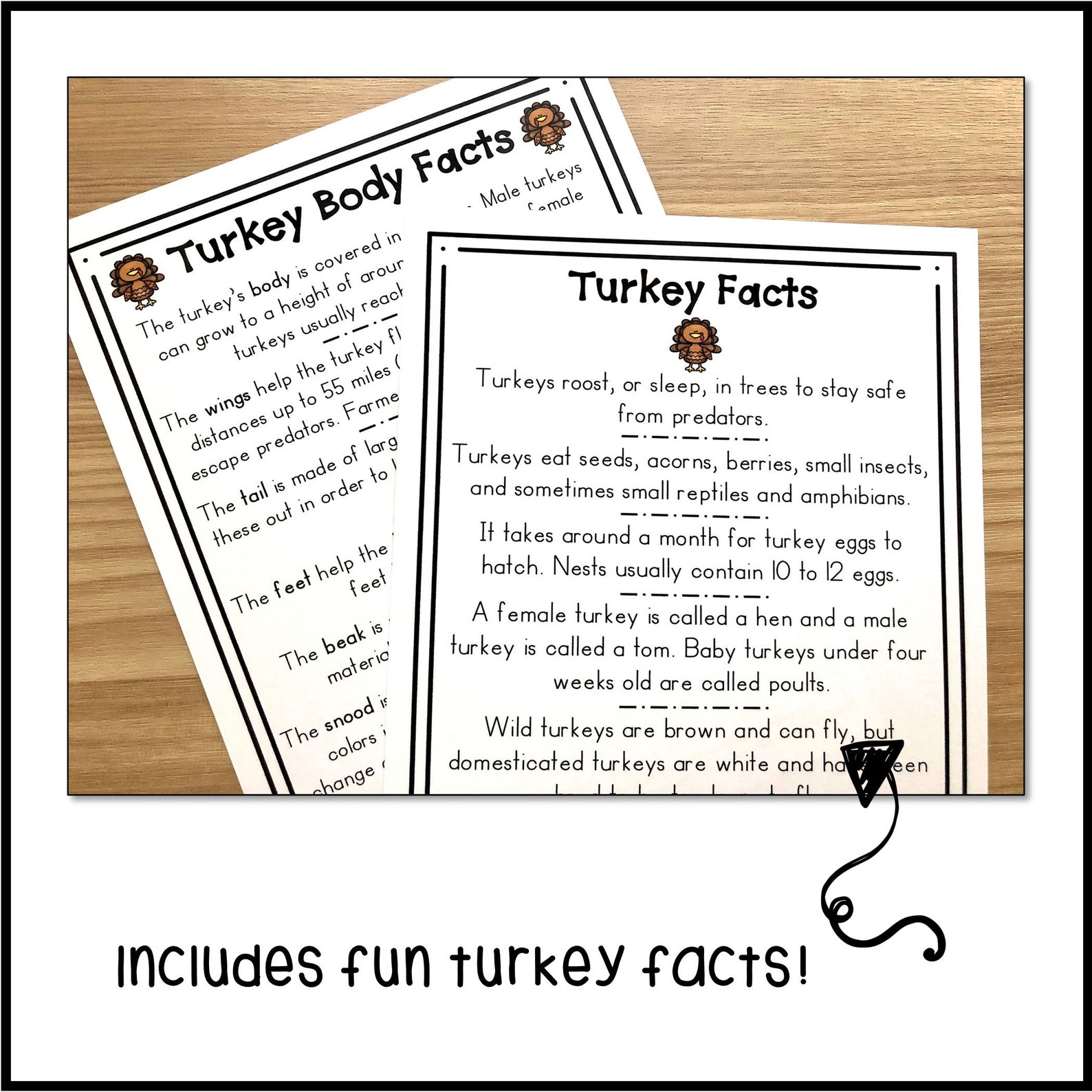 Parts of a Turkey Labeling Activity - Etsy