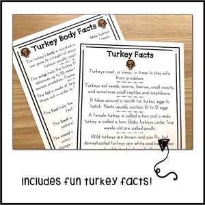 Parts of a Turkey Labeling Activity - Etsy