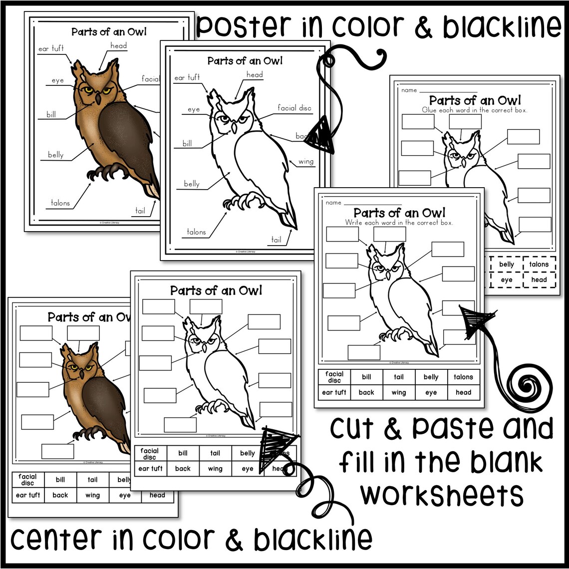 Parts of an Owl Labeling Activity - Etsy