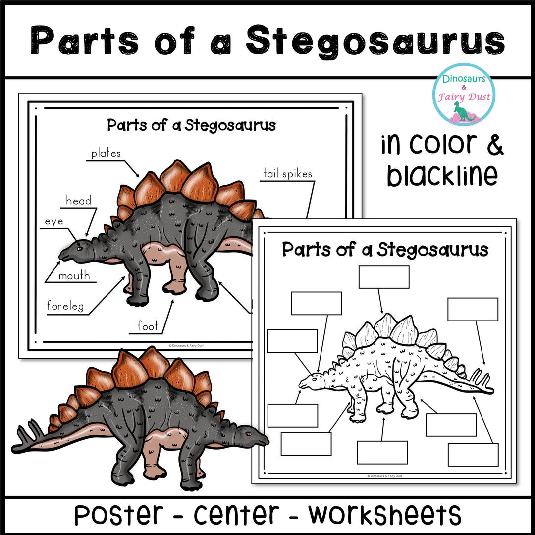 Parts of a Stegosaurus Labeling Activity - Etsy