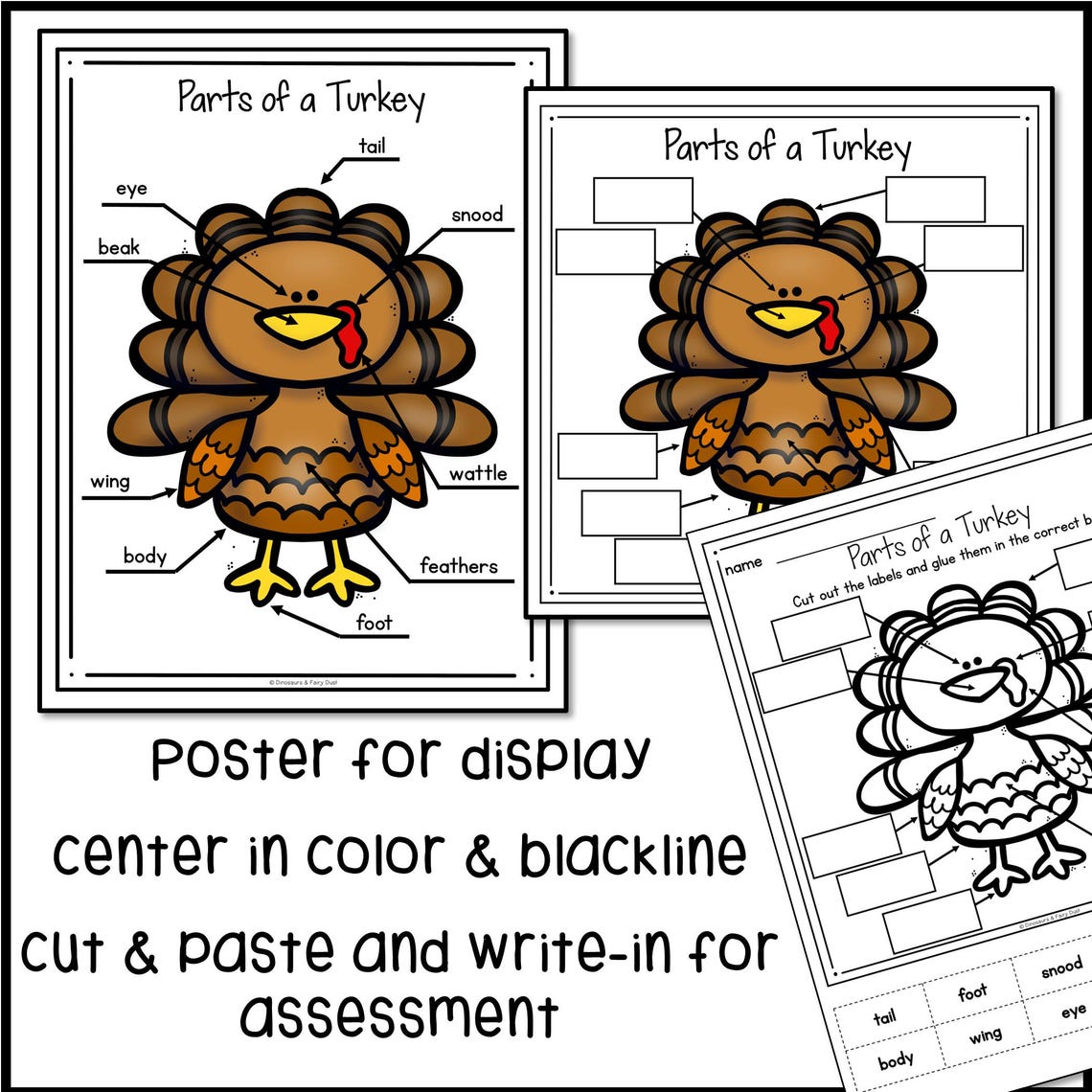 Parts of a Turkey Labeling Activity - Etsy