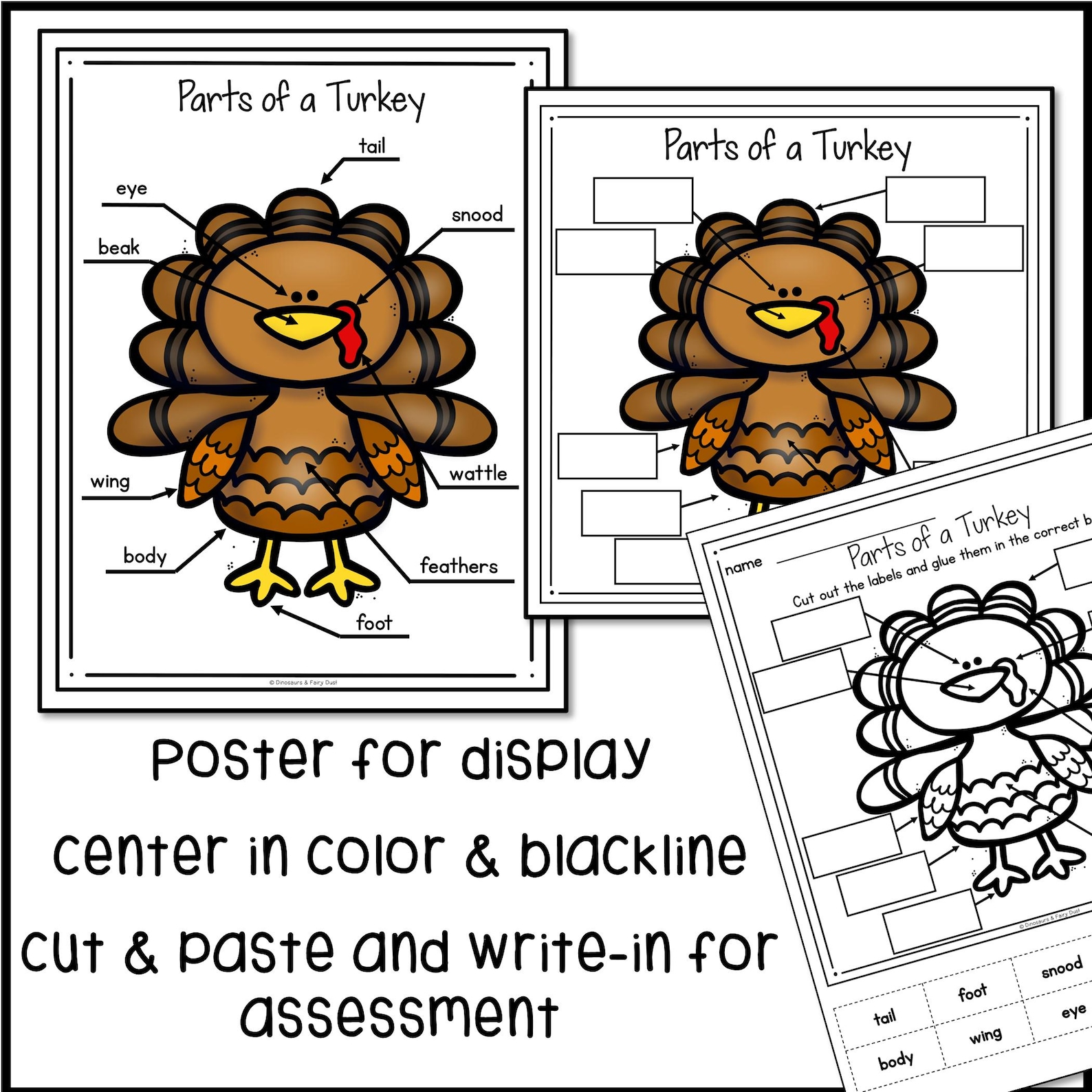 Parts of a Turkey Labeling Activity - Etsy