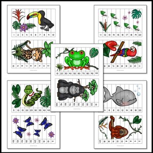 Rainforest Skip Counting Picture Puzzles - Etsy