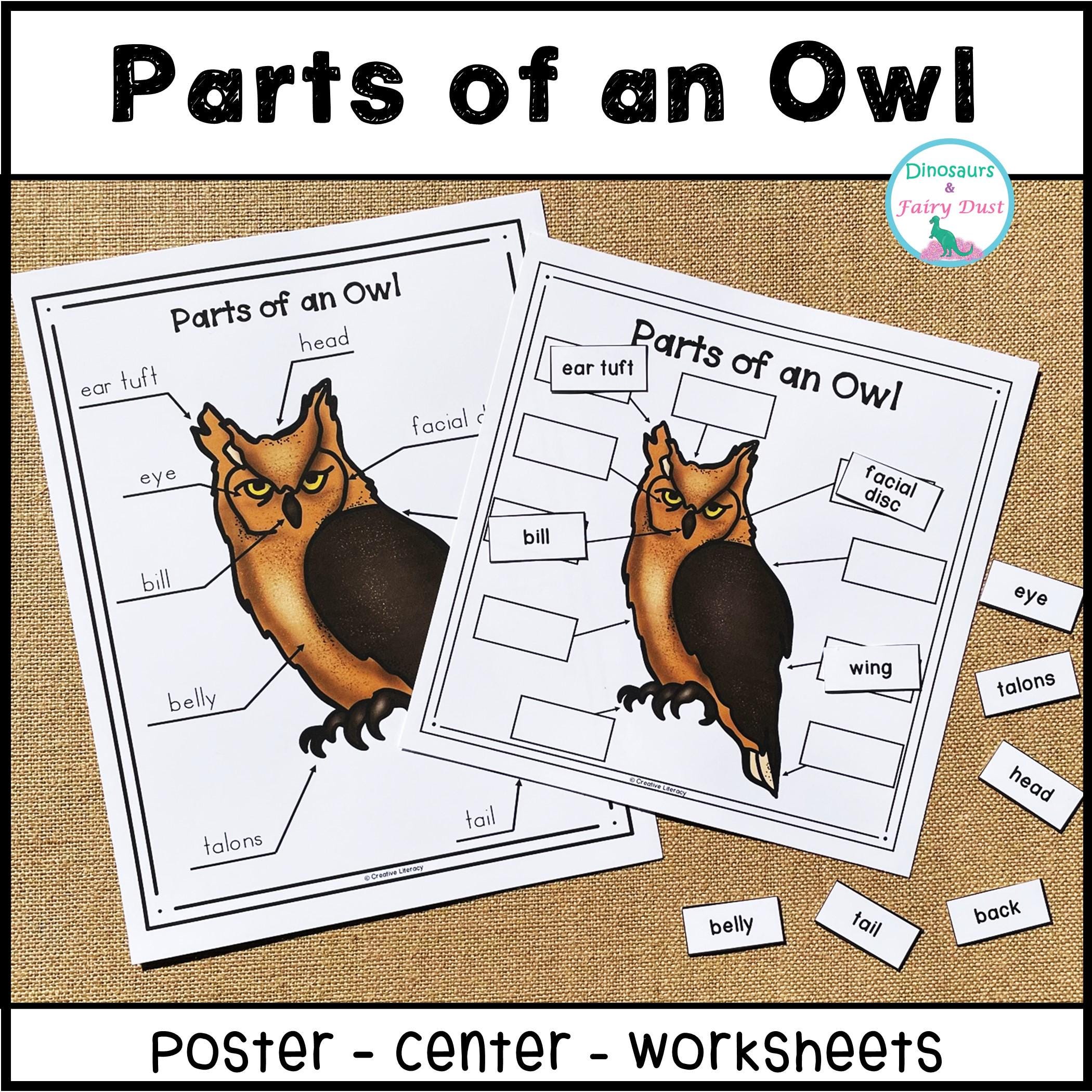 Parts of an Owl Labeling Activity - Etsy