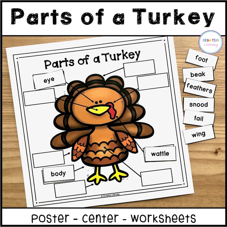 Parts of a Turkey Labeling Activity - Etsy