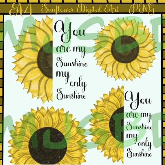 Sunflower Bundle Digital Art A4 PNG Sunflower Digital - Etsy
