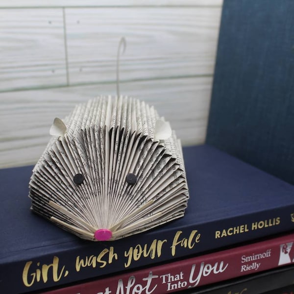 Mouse and Book - Etsy