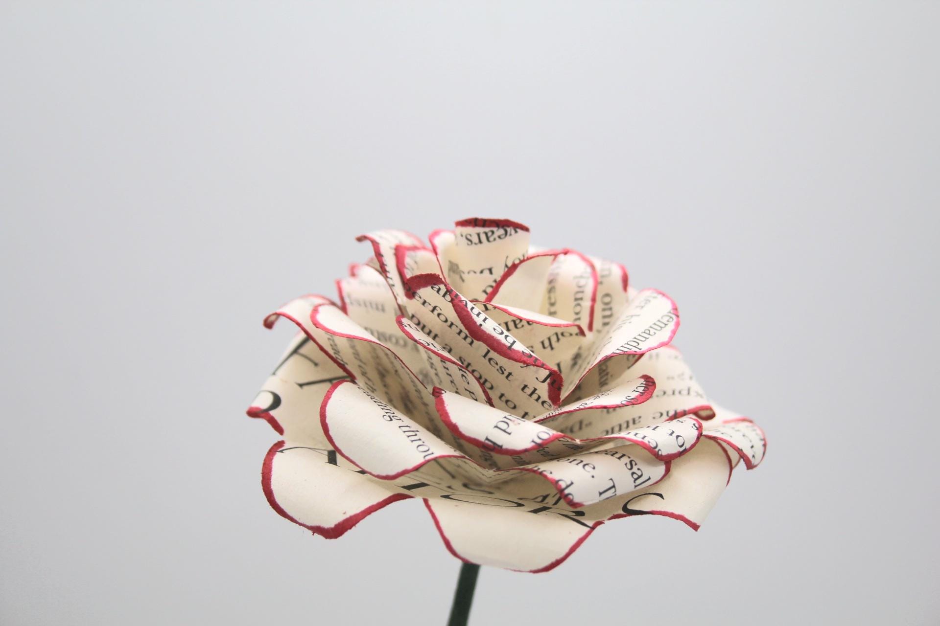 Red Tipped Paper Rose – Upcycled Book Art Gift - Etsy