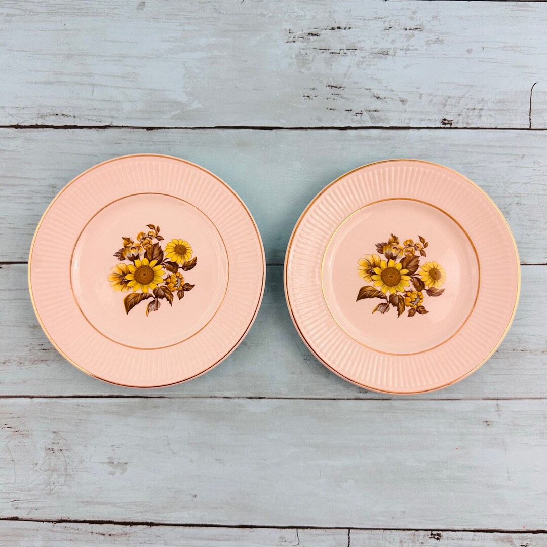 Vintage Royal Warwick Sunflower Plates Set of TWO Made in England - Etsy