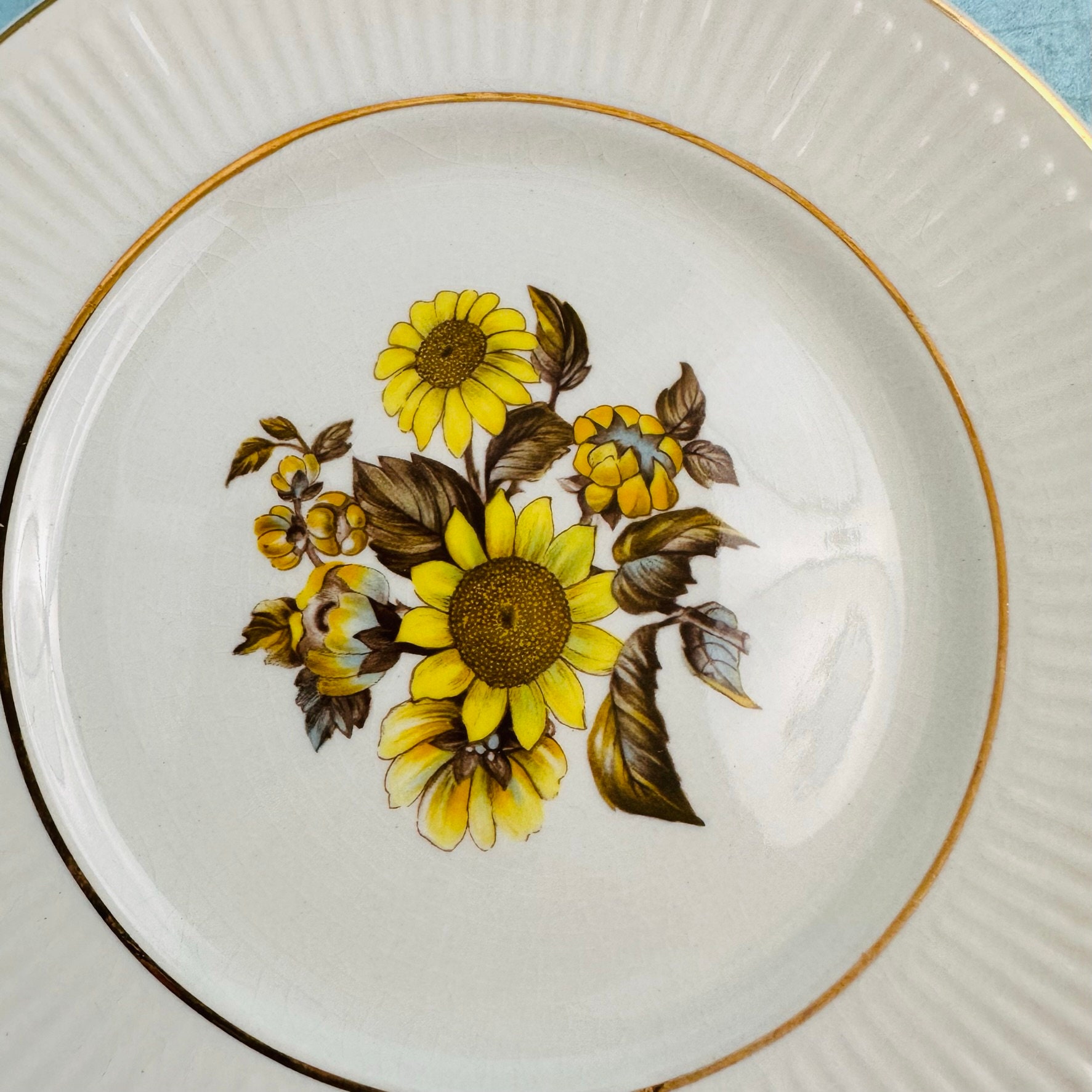 Vintage Royal Warwick Sunflower Plates Set of TWO Made in England - Etsy