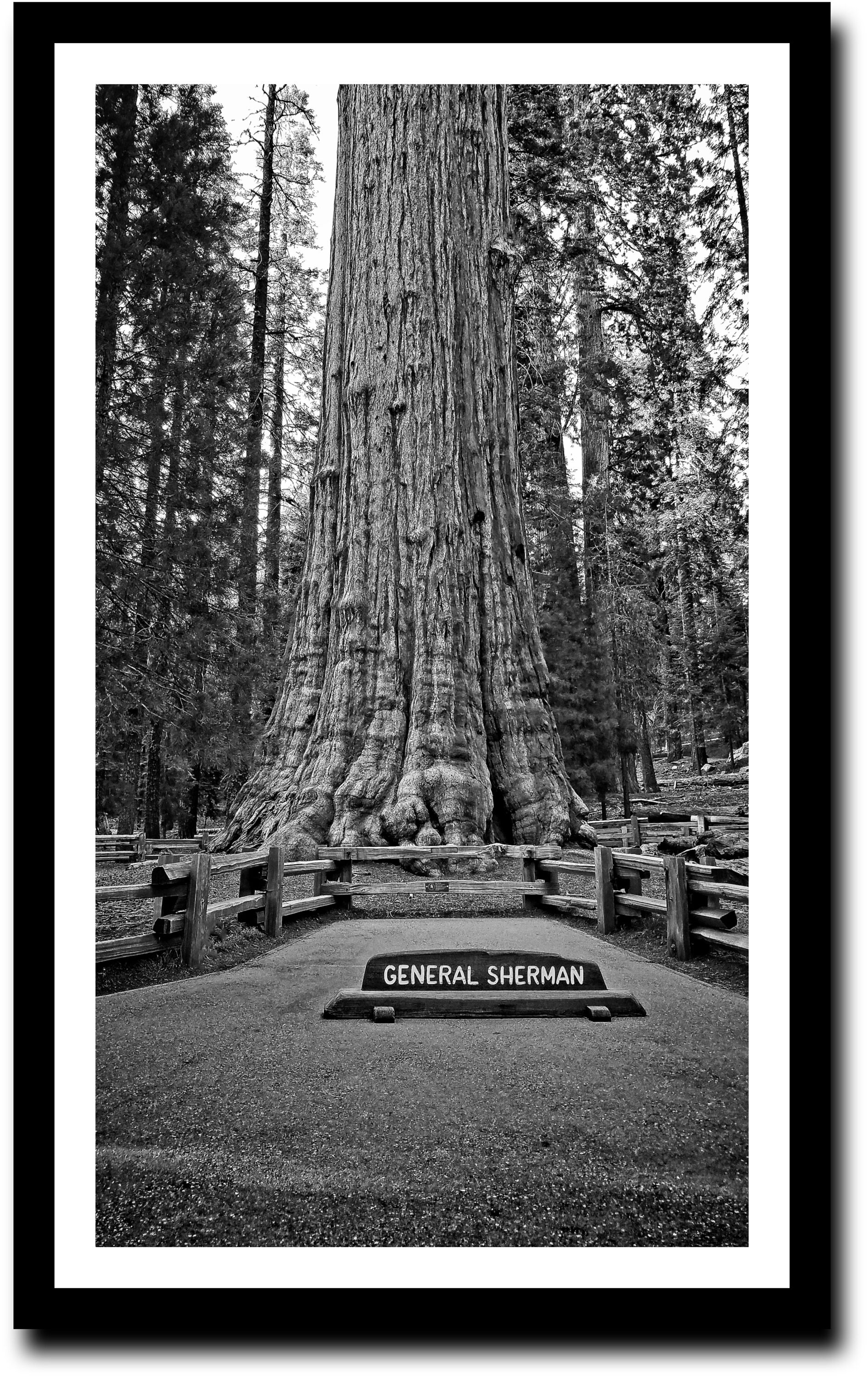 Truly Tree-Mendous | Etsy