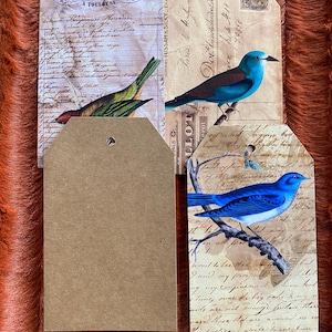 FREE SHIP Vintage set of 4 Bird Hang Tags 2 7/8 X 4 5/8. - Etsy