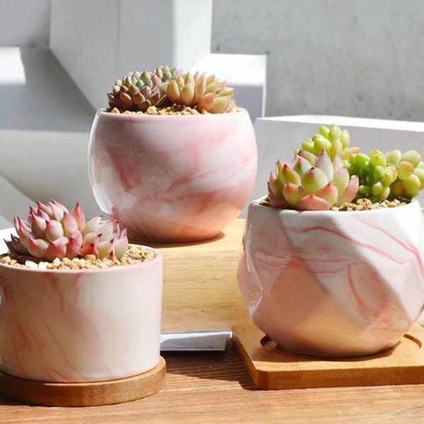 Small Planters - Etsy
