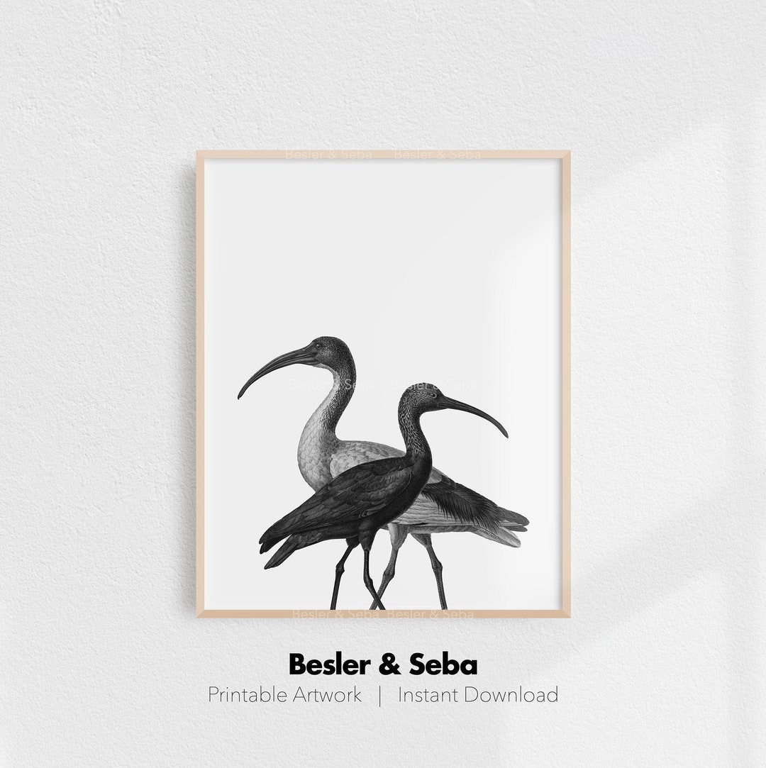 Ibis Birds Printable Wall Art Digital Download Minimalist - Etsy