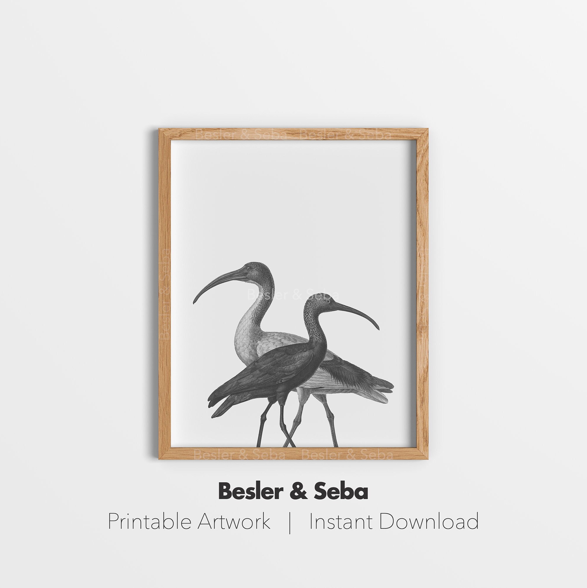 Ibis Birds, Printable Wall Art, Digital Download, Minimalist Print ...