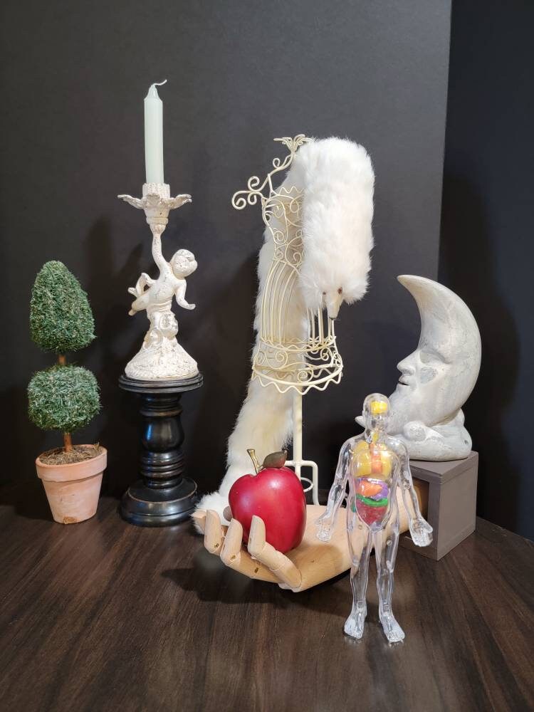 Clear Plastic Human Body Model Anatomy Invisible Man - Etsy