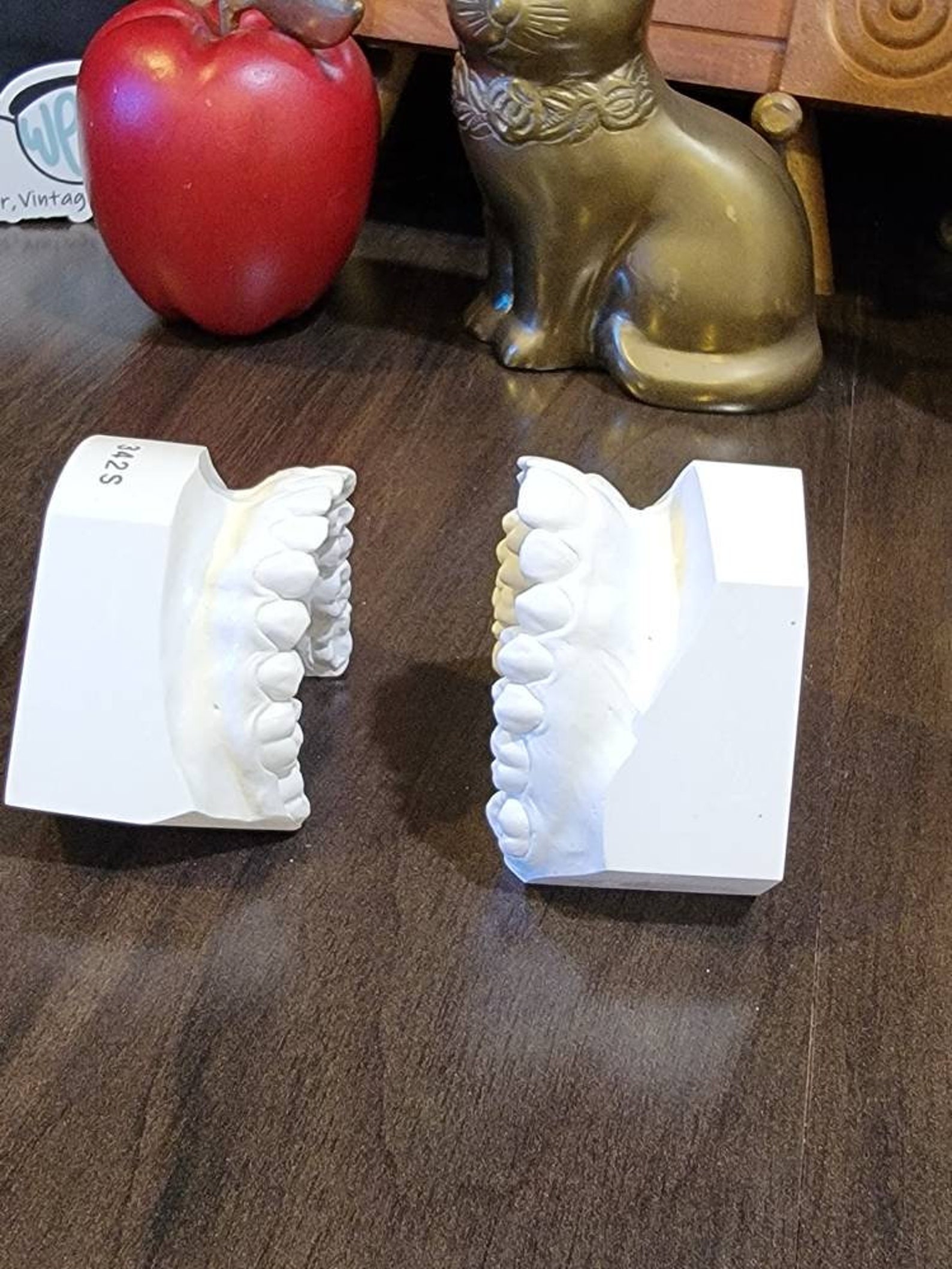Vintage Dental Teeth Mold, Human Teeth, Creepy Halloween Prop - Etsy