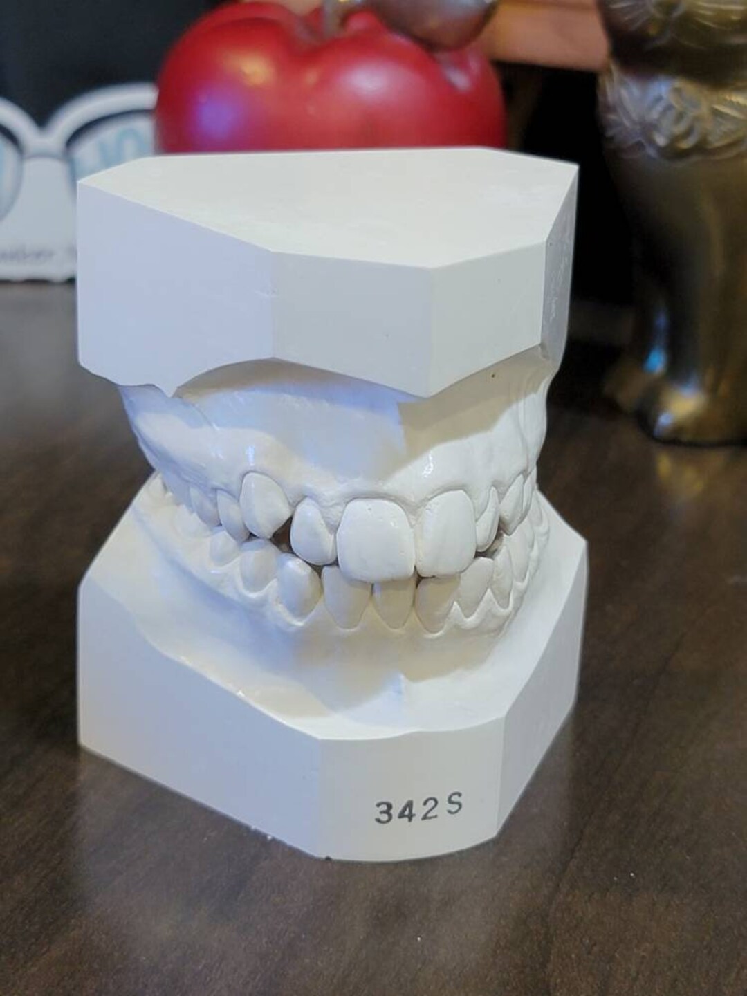 Vintage Dental Teeth Mold, Human Teeth, Creepy Halloween Prop - Etsy
