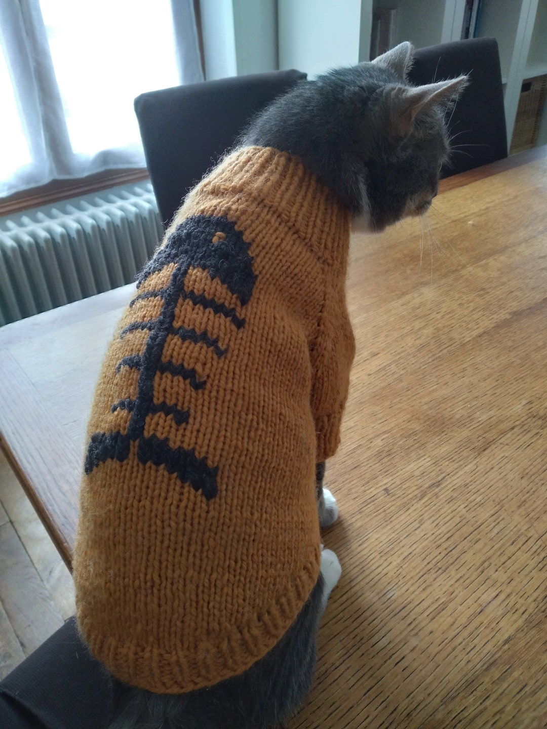 Pull Pour Chat Sphynx Ou Petit Chien - Etsy