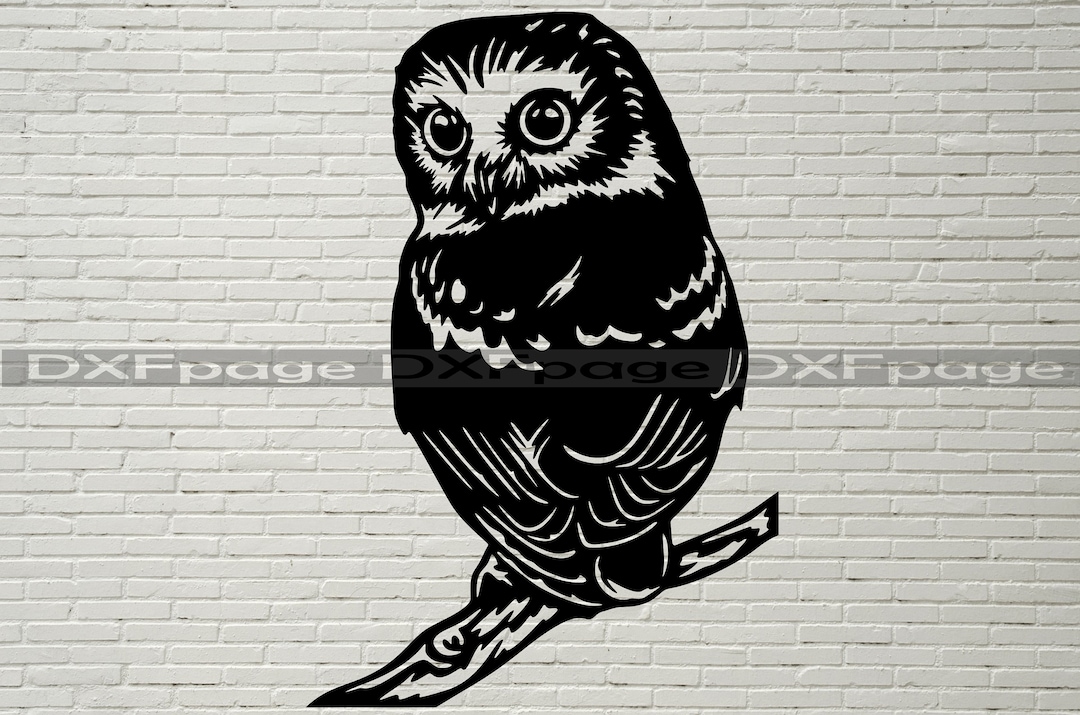 Baby Owl Cut File, SVG for Cricut, Owl Clipart, Laser Cut, Vinyl Shirt ...