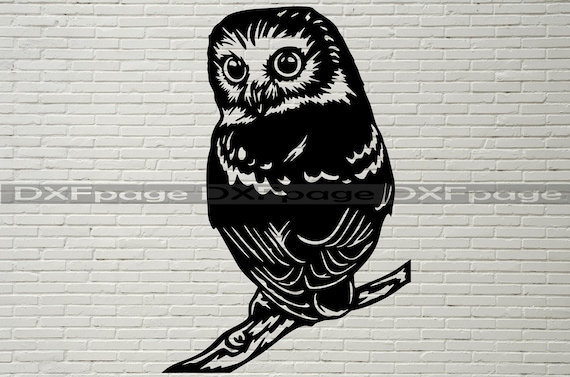 Baby Owl Cut File SVG for Cricut Owl Clipart Laser Cut - Etsy
