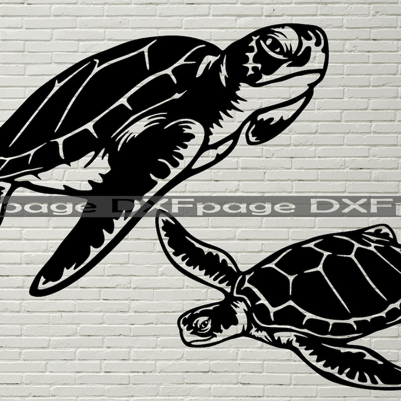 Turtle Svg - Etsy