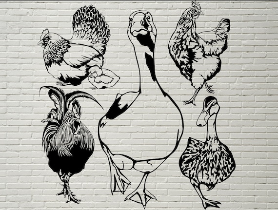 Geflügel SVG Huhn Svg Gans Svg Ente Svg Hahn Bauernhof | Etsy