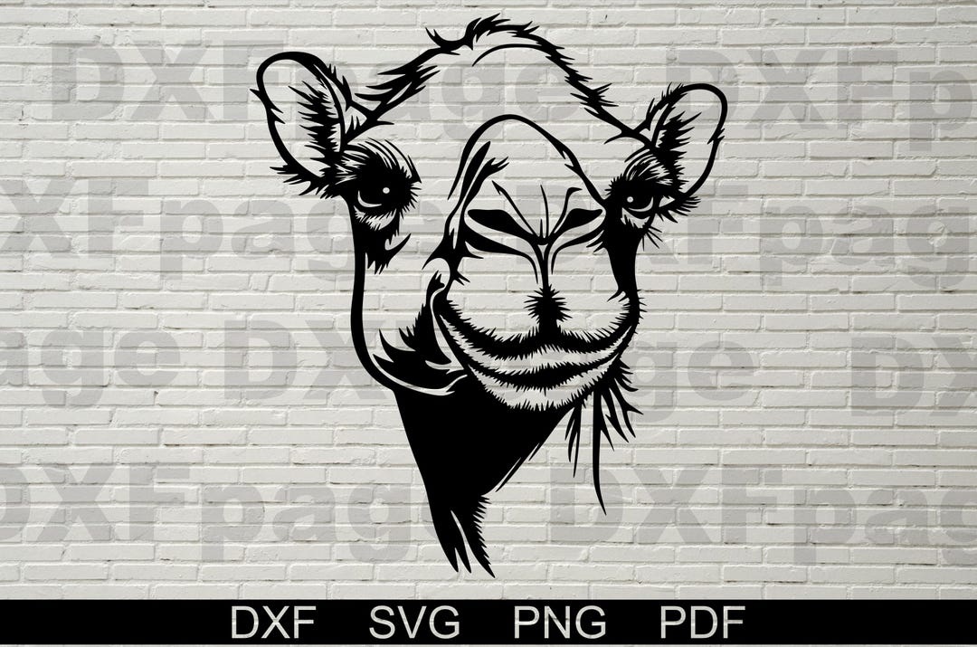Camel SVG Dxf, Peeking Vector, Laser Cut Files, Silhouette Dxf, Cricut ...