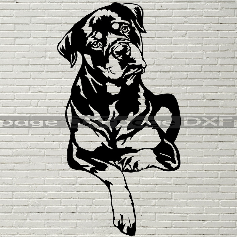 Rottweiler Valentines Shirt - Etsy