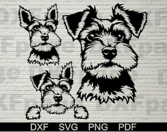 Cavapoo SVG, Silhouette Dxf, SVG for Cricut, Cavapoo Dog Clipart Cut ...