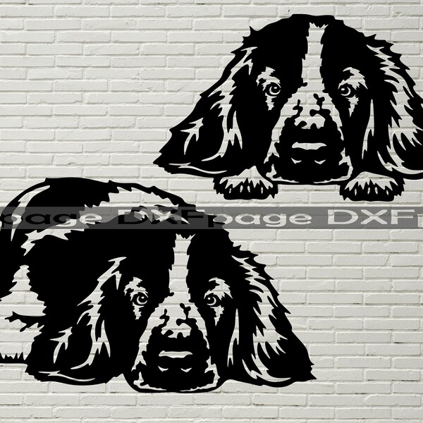 Dxf for Springer Spaniel Dog - Etsy