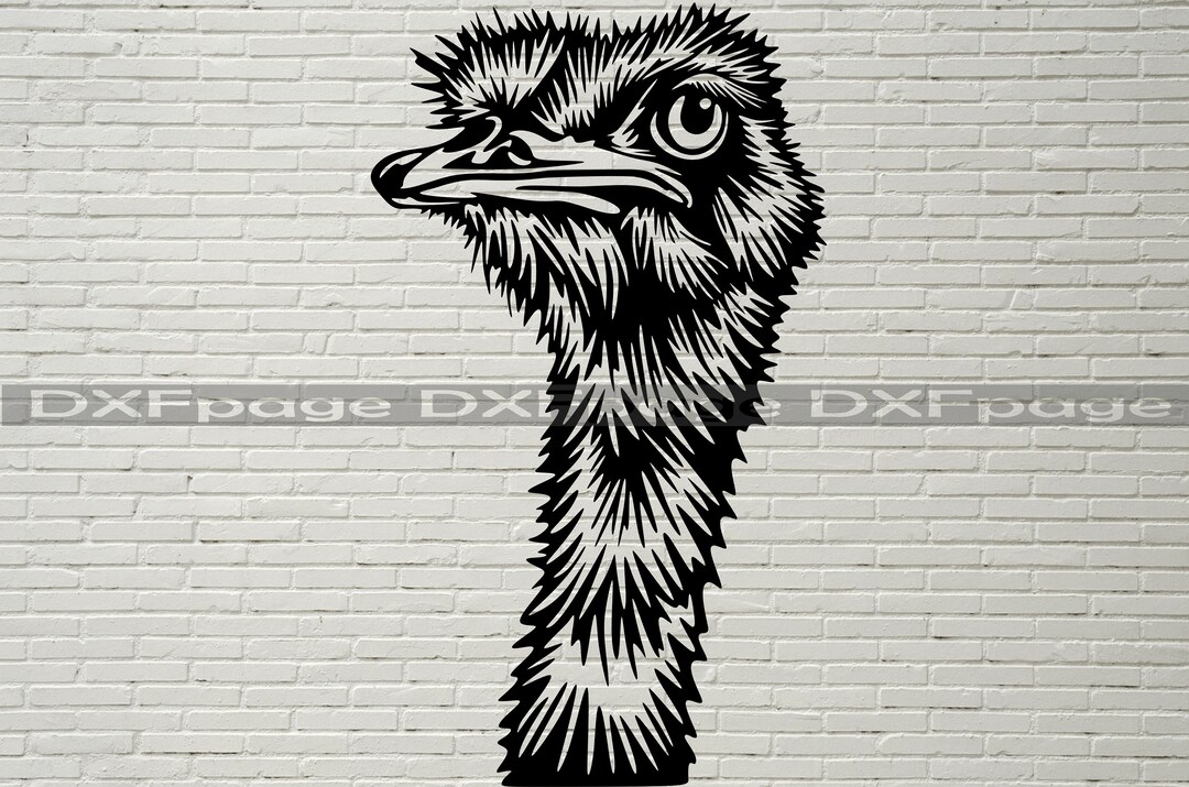 Angry Ostrich SVG, Ostrich Silhouette Dxf, SVG for Cricut, Farm Life ...