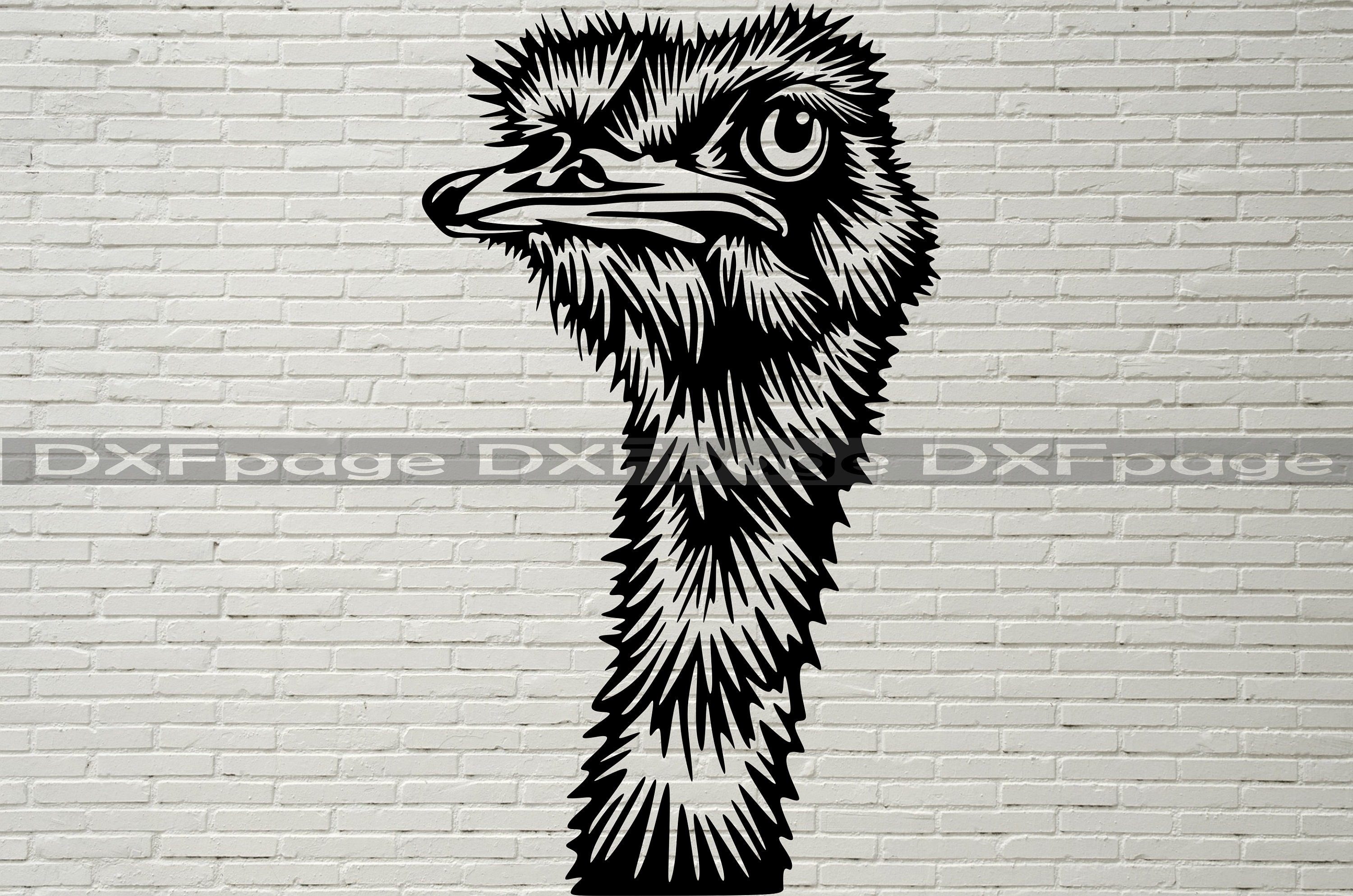 Angry Ostrich SVG Ostrich Silhouette dxf SVG for Cricut | Etsy