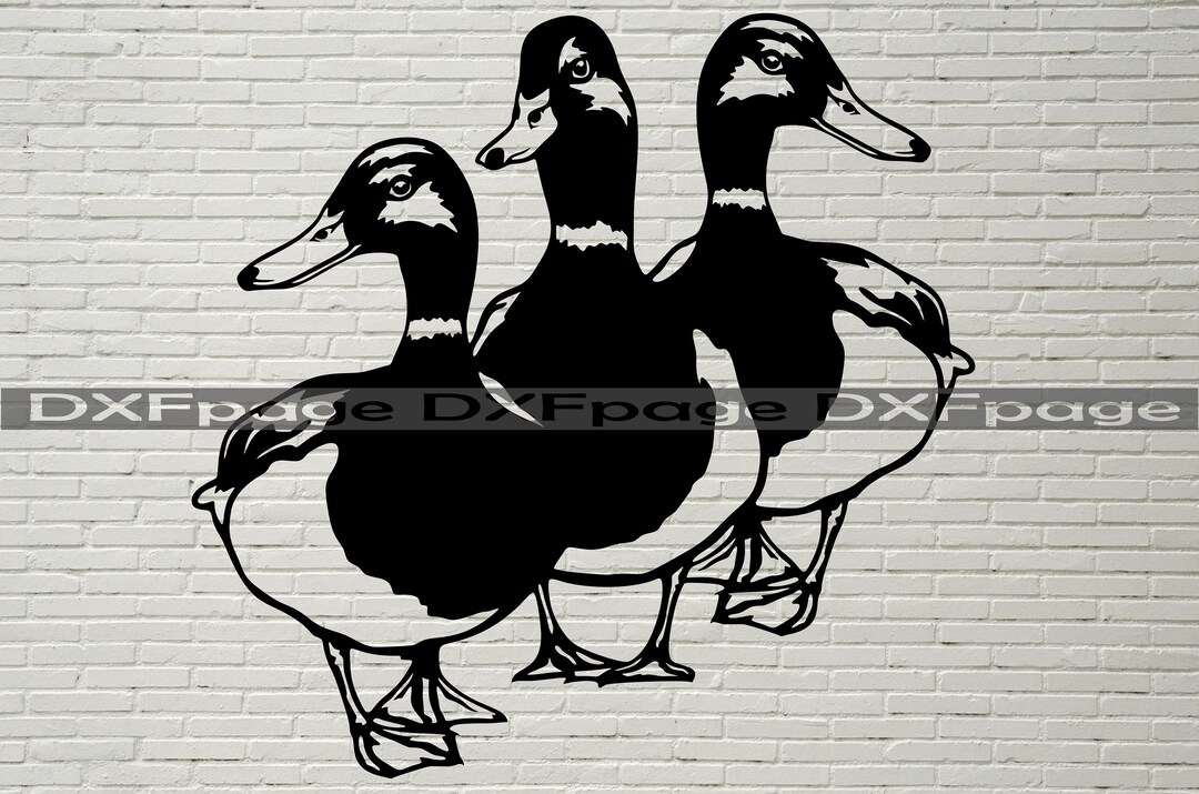 Funny Ducks Svg Cut Files Clipart, Silhouette Dxf File, Cricut File ...